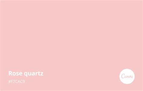 Rose Quartz Meaning Combinations And Hex Code Canva Colors Rose