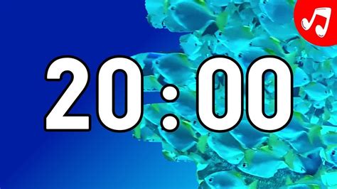 20 Minute TIMER Calm And Relaxing Music Alarm At The End YouTube