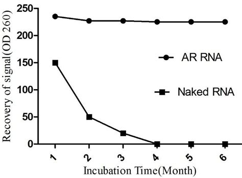 Comparison Between The Stability Of Armored AR RNA And Naked RNA At 4