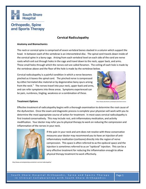 Cervical Radiculopathy S O U T H S H O R E H O S P I T A L O R T H O