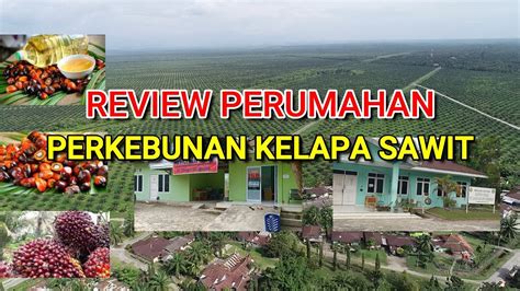 REVIEW PERUMAHAN KARYAWAN PERKEBUNAN KELAPA SAWIT PT LANGGAM INTI