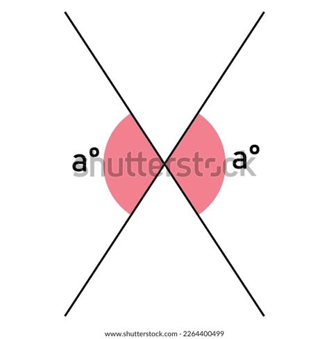 Vertically Opposite Angles Diagram Mathematics Vertical Stock Vector