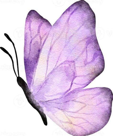 mariposa acuarela ilustración Mariposas acuarela Como dibujar