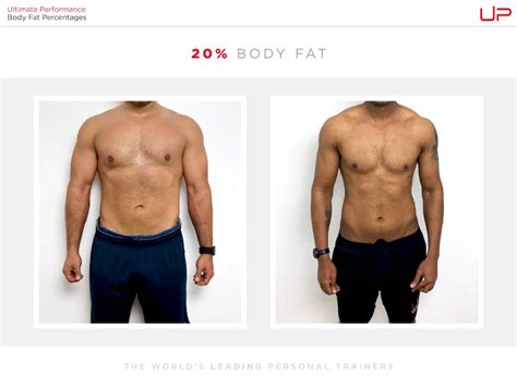Male Body Fat Percentage Comparison Visual Guide Ultimate Performance