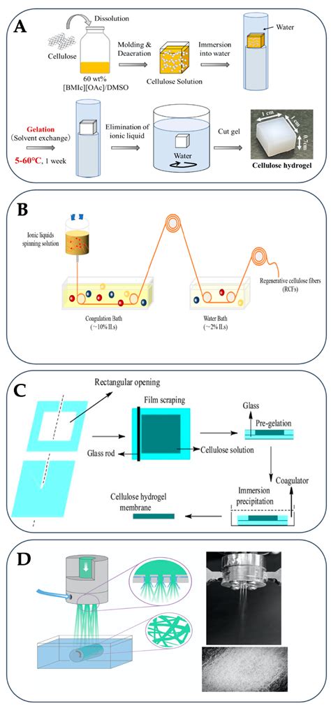 Gels Free Full Text Recent Advances In Cellulose Based Hydrogels