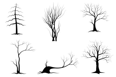 Arbre De Branche Noire Ou Ensemble De Silhouettes D Arbres Nus