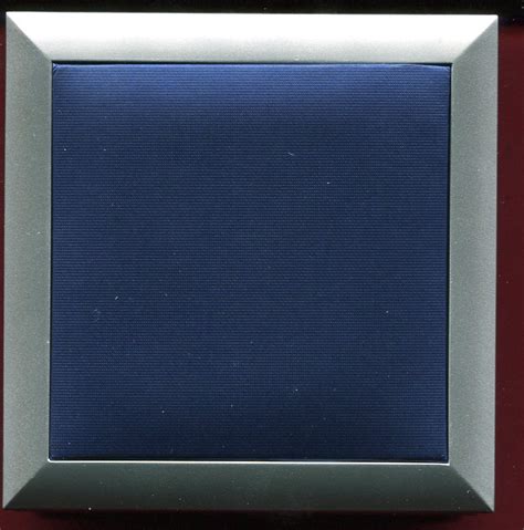 Kongo 1000 Francs CFA Silbermünze 2013 Schwarzer Leopard m