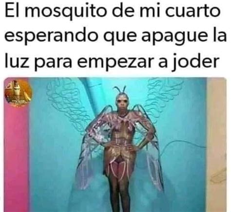 Pin De Vanillapao En FunnY Frases Divertidas Memes Divertidos