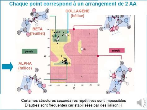 UE 1 BIOCHIMIE FICHE DE COURS 1 STRUCTURE DES PROTEINES CPCM