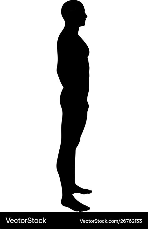 Standing Pose Man Silhouette Royalty Free Vector Image
