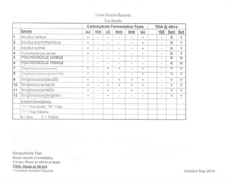 Gram Positive Cocci Identification Chart Labb By AG