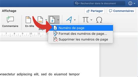 Comment numéroter les pages dun document Word
