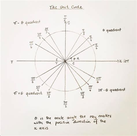 The Trigonometry Unit Circle Showing The Rays Of All The Special Angles
