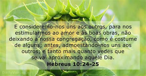 27 Versículos da Bíblia sobre a Comunidade DailyVerses net