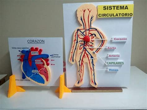 Pin De Rouss Reyes En Maquetas Manualidades Educativas Sistema
