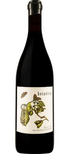 10 Best Pinot Noir Wines In Willamette Valley 2022