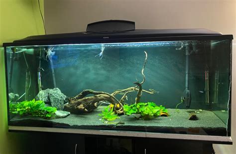 Akwarium 450l szafka cały zestaw Gdynia Ogłoszenie na Allegro