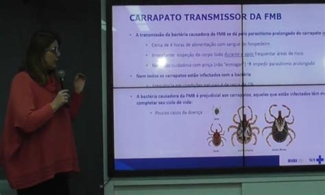 Febre Maculosa Estado De SP Registra 16 Casos 7 Mortes Neste Ano