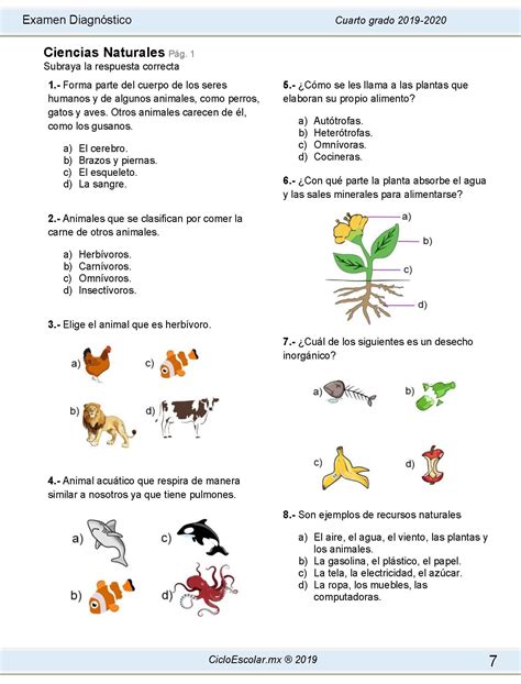 Preguntas De Ciencias Naturales Cuarto Grado Image To U
