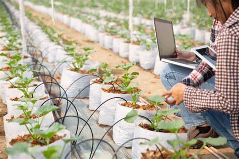 Descubra como o uso estratégico de Big Data na Agricultura está