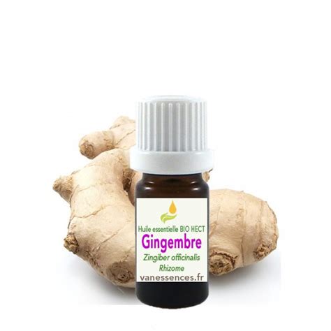 Huile Essentielle Gingembre Bio HECT Zingiber Officinalis