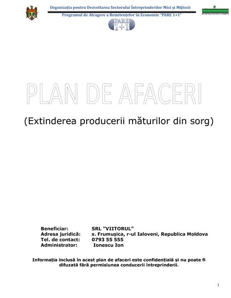 Model PLAN DE Afaceri Completat Programul de Atragere a Remitenţelor