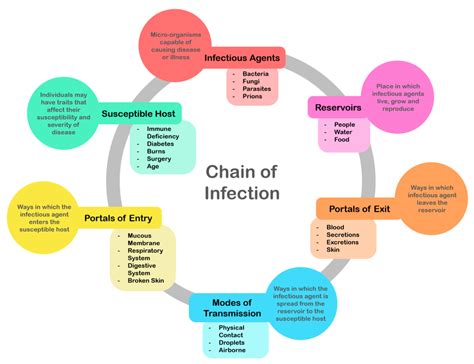 chain of infection explained step by step