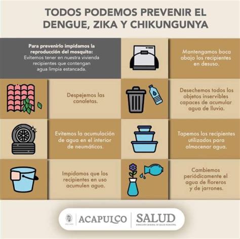 El Gobierno Municipal Emite Recomendaciones Para Evitar Dengue Zika Y