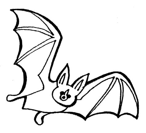 Coloriage Chauve Souris Animaux Dessin Colorier