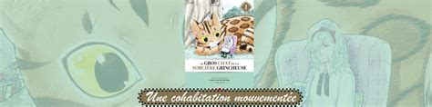 Le Gros Chat et la Sorcière Grincheuse T1 une cohabitation