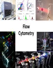 Understanding Flow Cytometry Measuring Cells In Motion With Course Hero