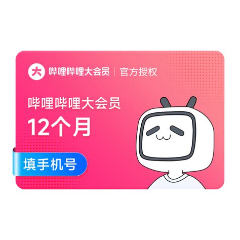 B Bilibili