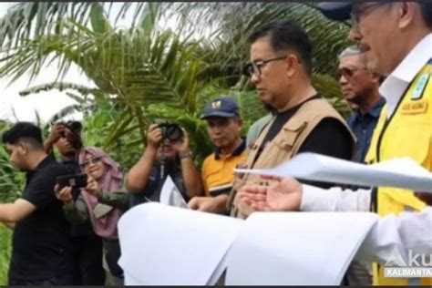 Mewujudkan Swasembada Pangan Fokus Pembangunan Infrastruktur Pertanian