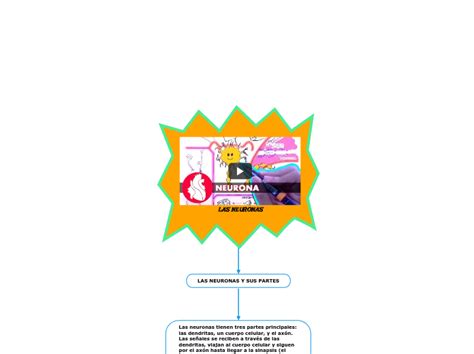 Los Estados Del Agua Mind Map