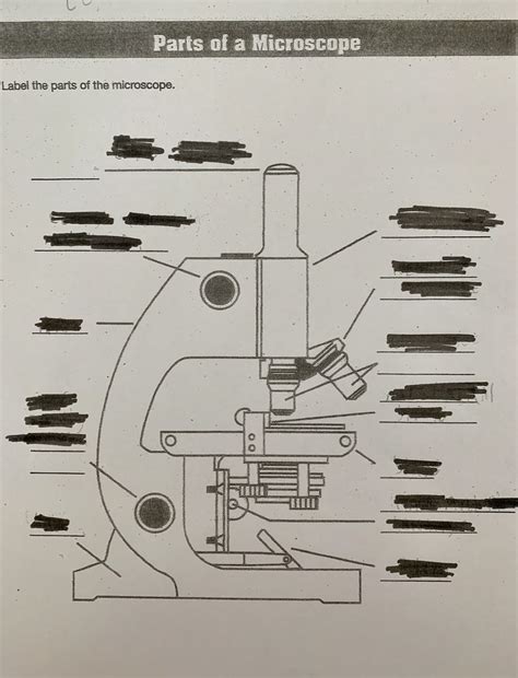 Parts Of A Microscope Diagram Quizlet