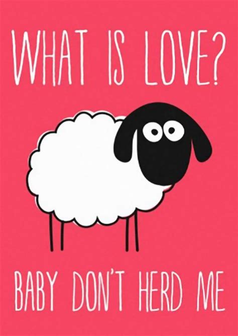 What Is Love Funny Valentines Card VA1027 2 49 5 99 US 4 23 10