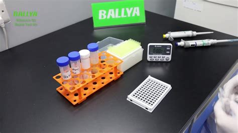 Aflatoxin B1 Rapid Test Kit Detection Of Aflatoxin B1 In Peanut