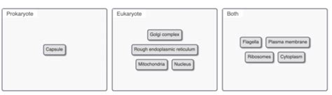 Chapter 2 Mastering Microbiology Flashcards Quizlet
