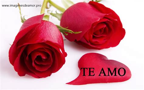 Im Genes De Rosas Que Digan Te Amo