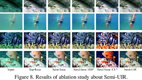 Figure 8 From Contrastive Semi Supervised Learning For Underwater Image