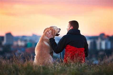 Espasmos Musculares En Perros Causas S Ntomas Y Qu Hacer Vida Con