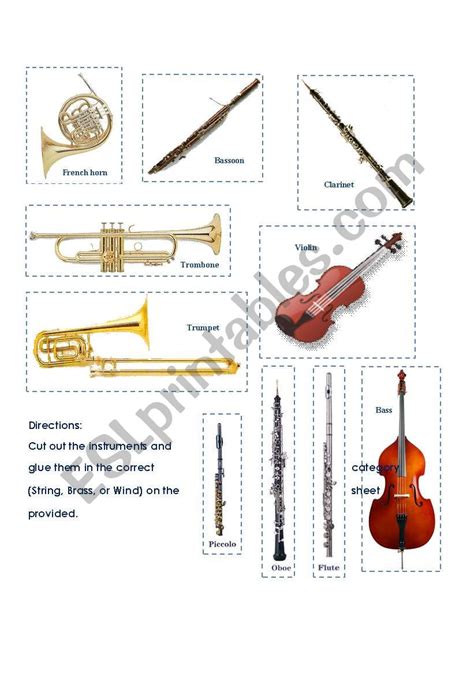 Families Of Instruments Worksheets