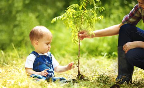 Total 44 Imagen Arbre De Naissance Cultura Fr Thptnganamst Edu Vn