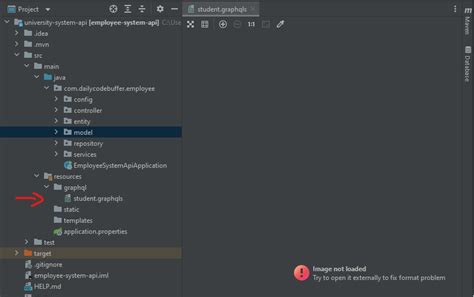 Java IntelliJ IDEA Does Not Recognize The Format Of GraphQL Schema In