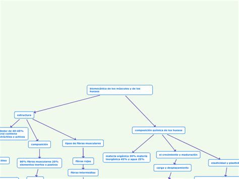 Los M Sculos Y Los Huesos Mind Map The Best Porn Website