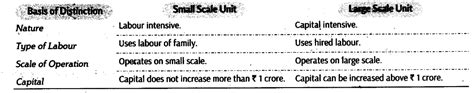 Distinguish Between A Small Scale Business Unit Cbse Class