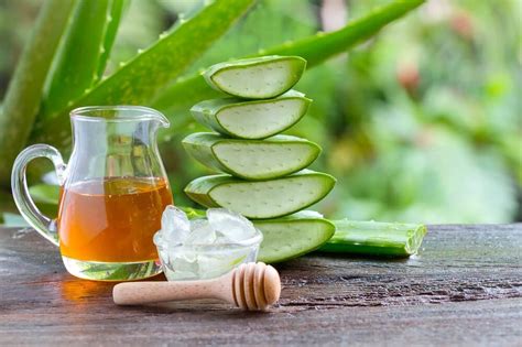 Cápsulas y jugos de Aloe Vera beneficios para tu salud