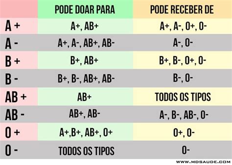 Tipos Sangu Neos Diferen As Compatibilidade E D Vidas