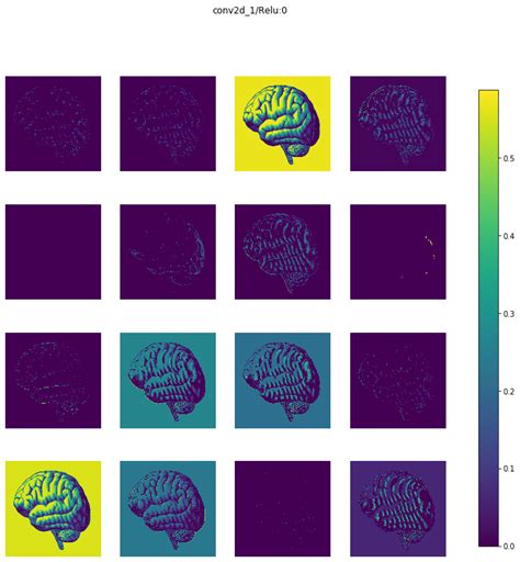 activation maps for deep learning models in a few lines of code kdnuggets