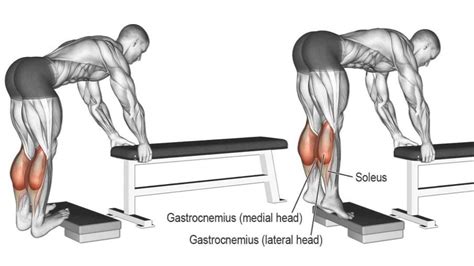Best Calf Exercises And Workout For Building Bigger Calves
